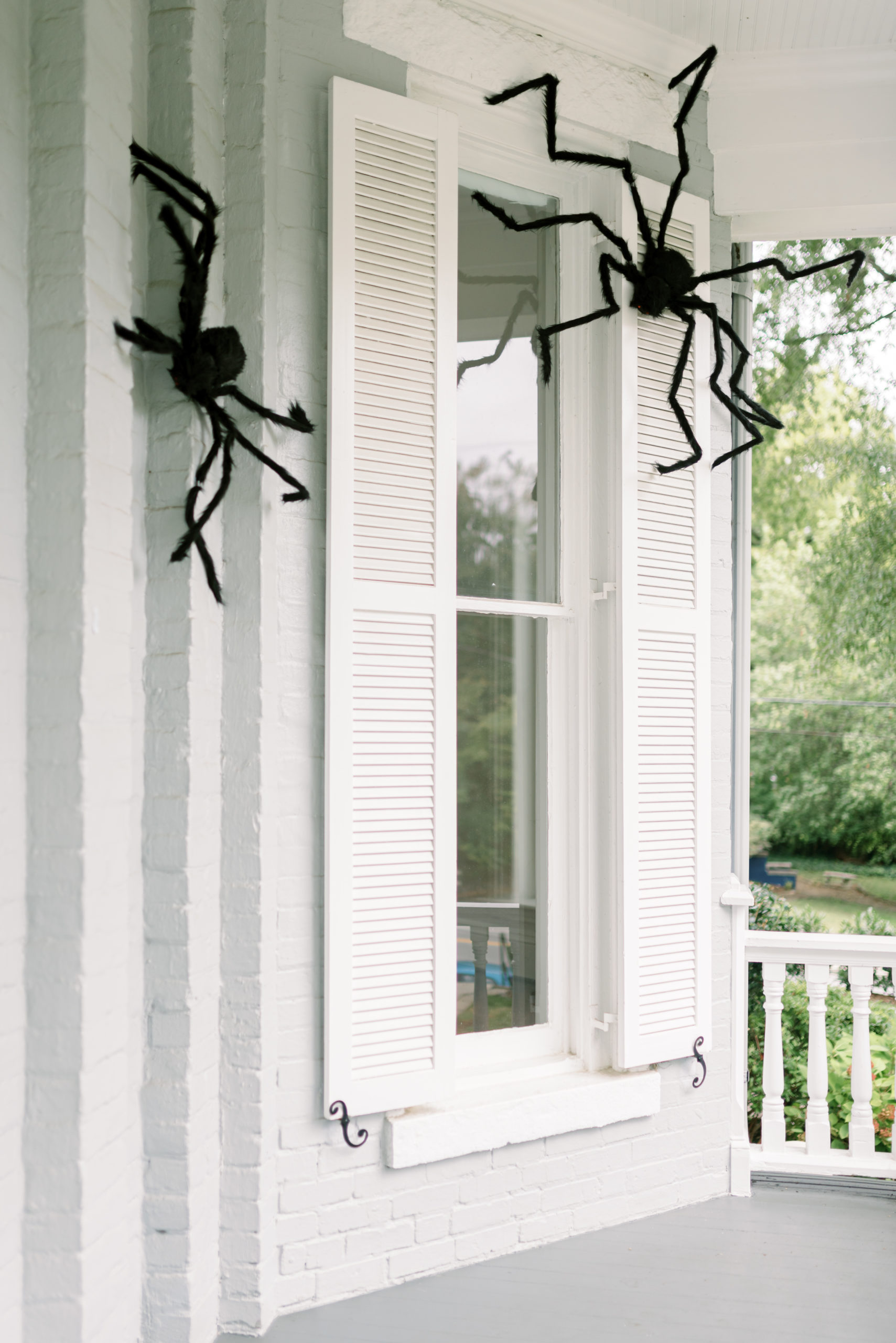 Spooky Spider Halloween Decor - Showit Starter Blog